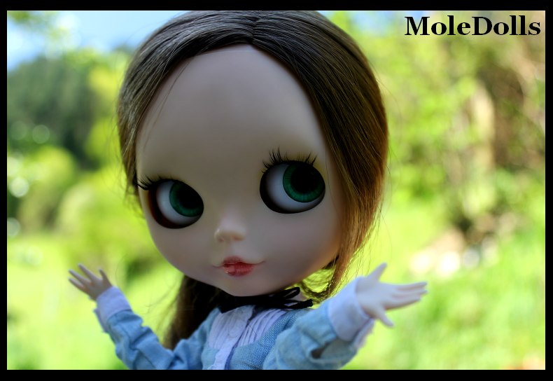 MoleDolls: New OOAK Custom Blythe Doll N.62 ♥