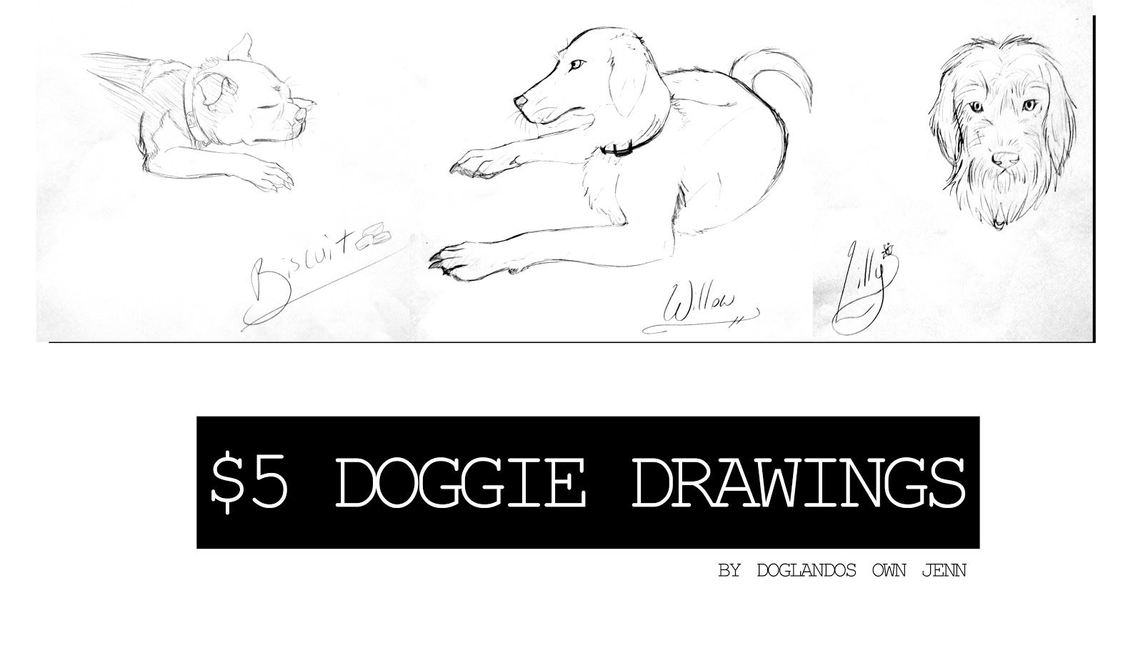 The Doglando Blog : Orlando Dog Grooming | Orlando Dog Training | Dog ...