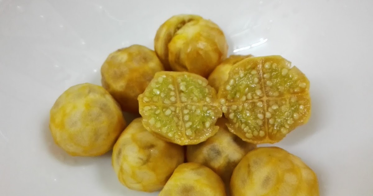 On The Green Side Of Life: Terung Asam (part 2)