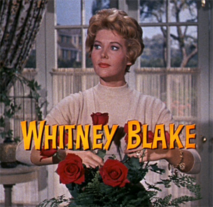 David C. Tucker, Author: Dorothy Baxter, Meet Ann Romano