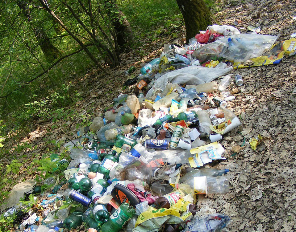 Matt Of All Trades: Lousy Guy Dumps 8,500 Tons Of Trash In National Forest