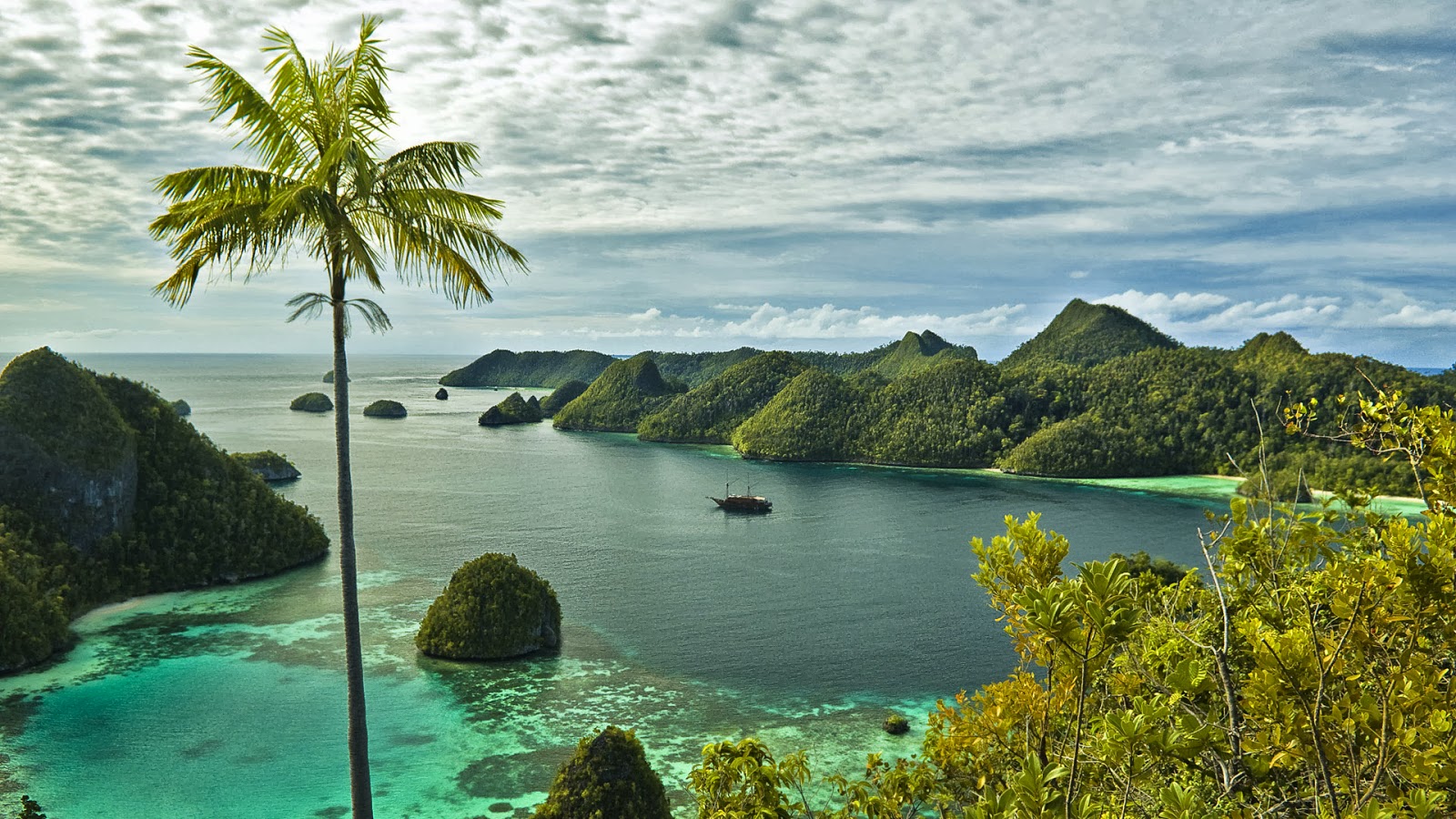 Wallpaper HD: REAL NATURE