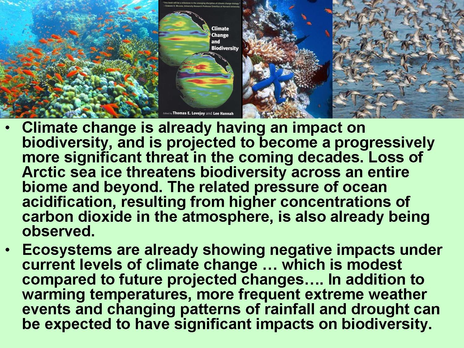 Dr Mat: Climate Change Affects Biodiversity: Forests, wetlands ...