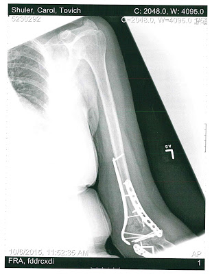 Legal Schnauzer: My wife gets arrested for failing to appear at court ...