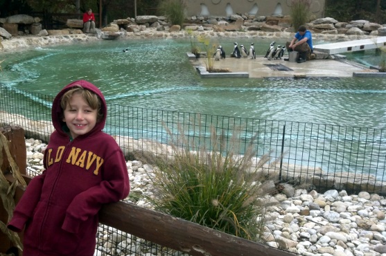 Neo-Homeschooling: 1st Field Trip: Lehigh Valley Zoo (Smart Fun!)