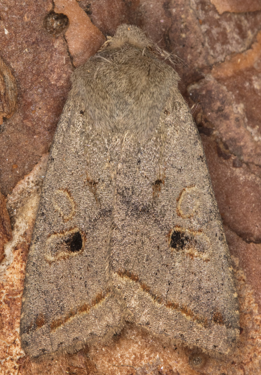 More New This Year | Naturally