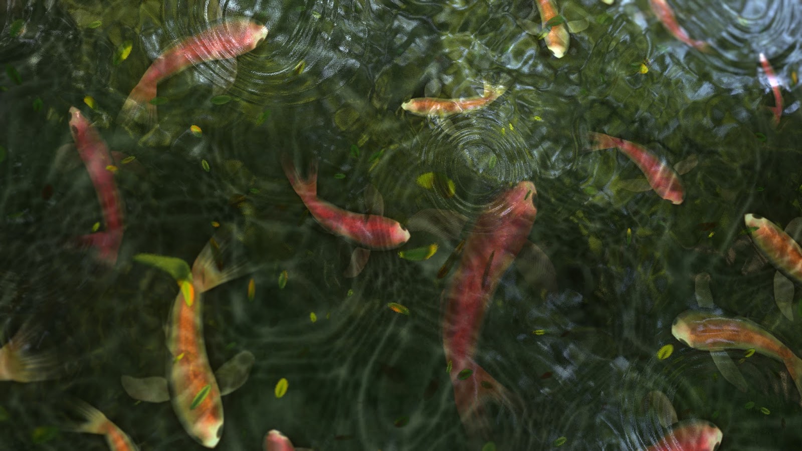 akshayartcorner: Koi fish pond (substance designer) material study