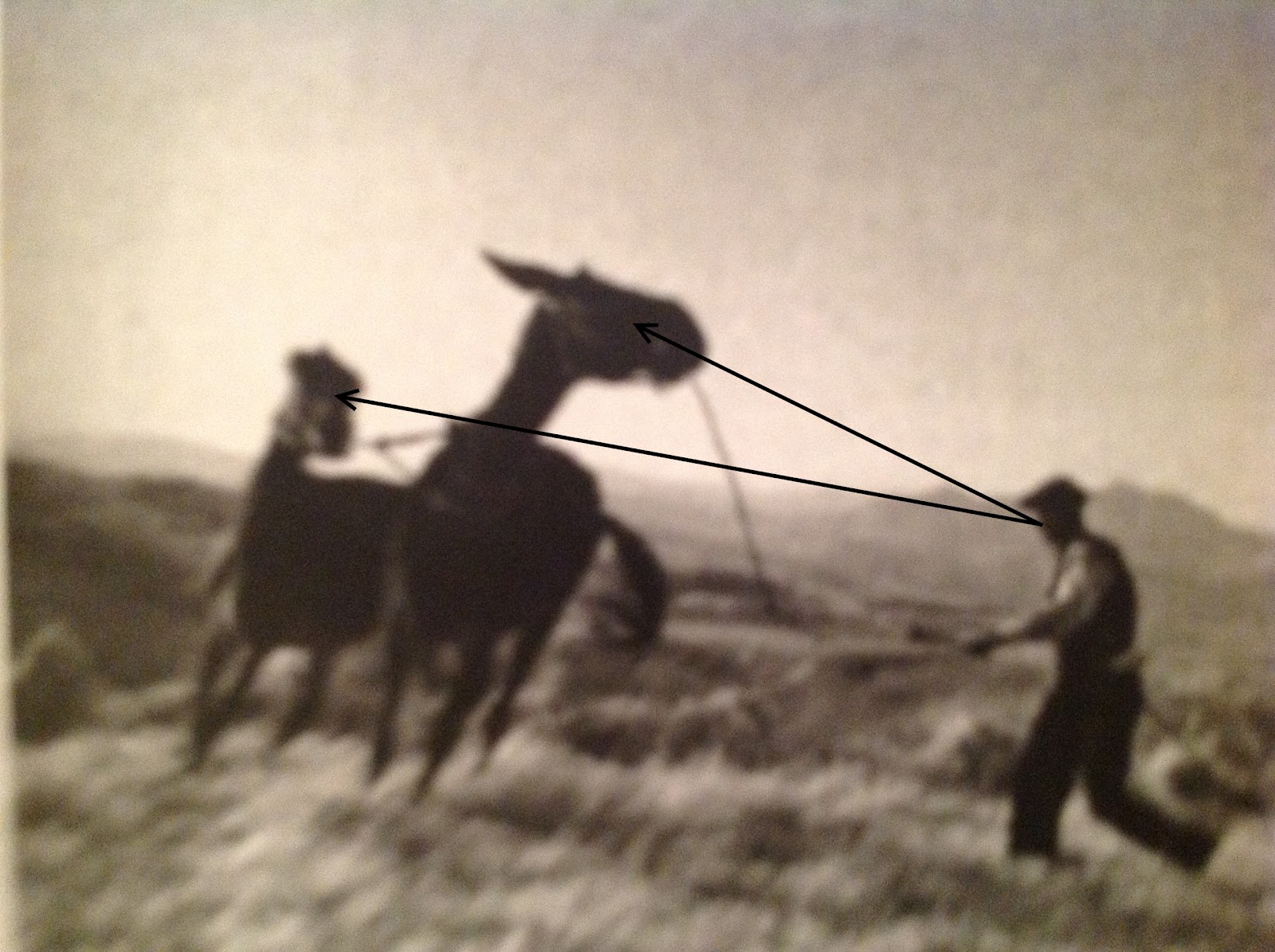 The Art of Photography: Implied Lines