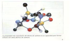 LA QUIMICA DENTRO DE MI: Bioelementos Primarios
