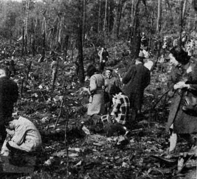 TY 981 - Silêncio na Floresta (Relato do BlackBox do Jetsite ...