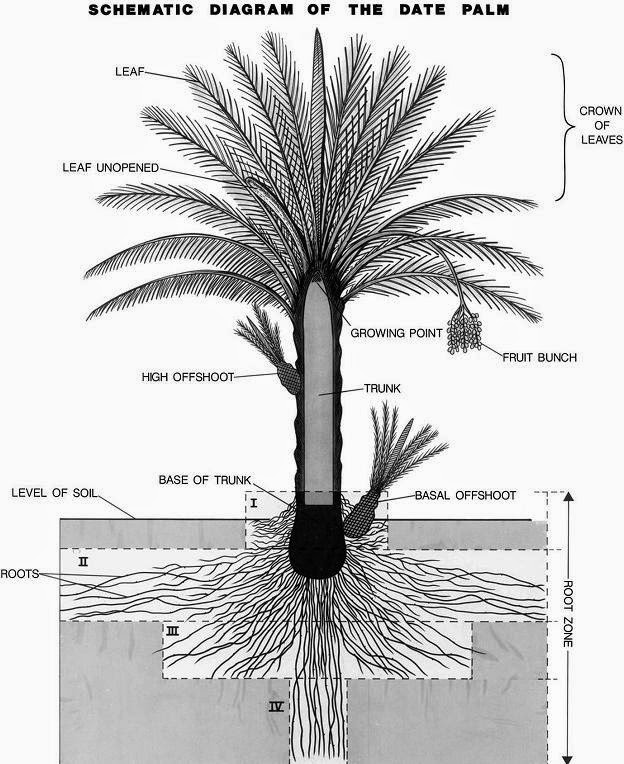 Itu prinsip kehidupan Ɣg luar biasa?