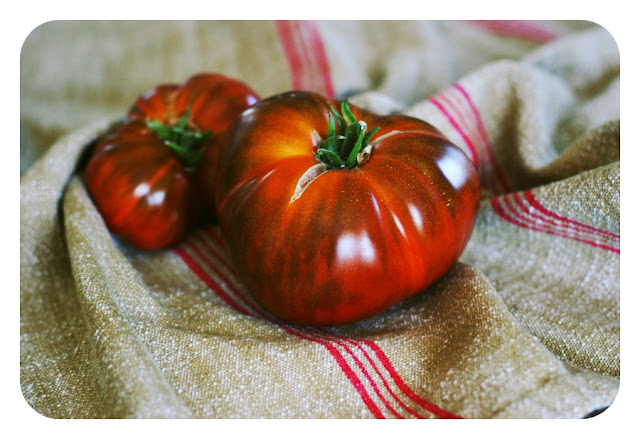 Bell and Star: Tomato Taste-Off, 2012