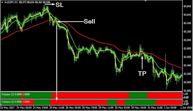 Forex Octopus Trading System - Tentang Forex dan Ekonomi