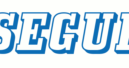 Learning Zone Languages: Spanish Seguir verb conjugation