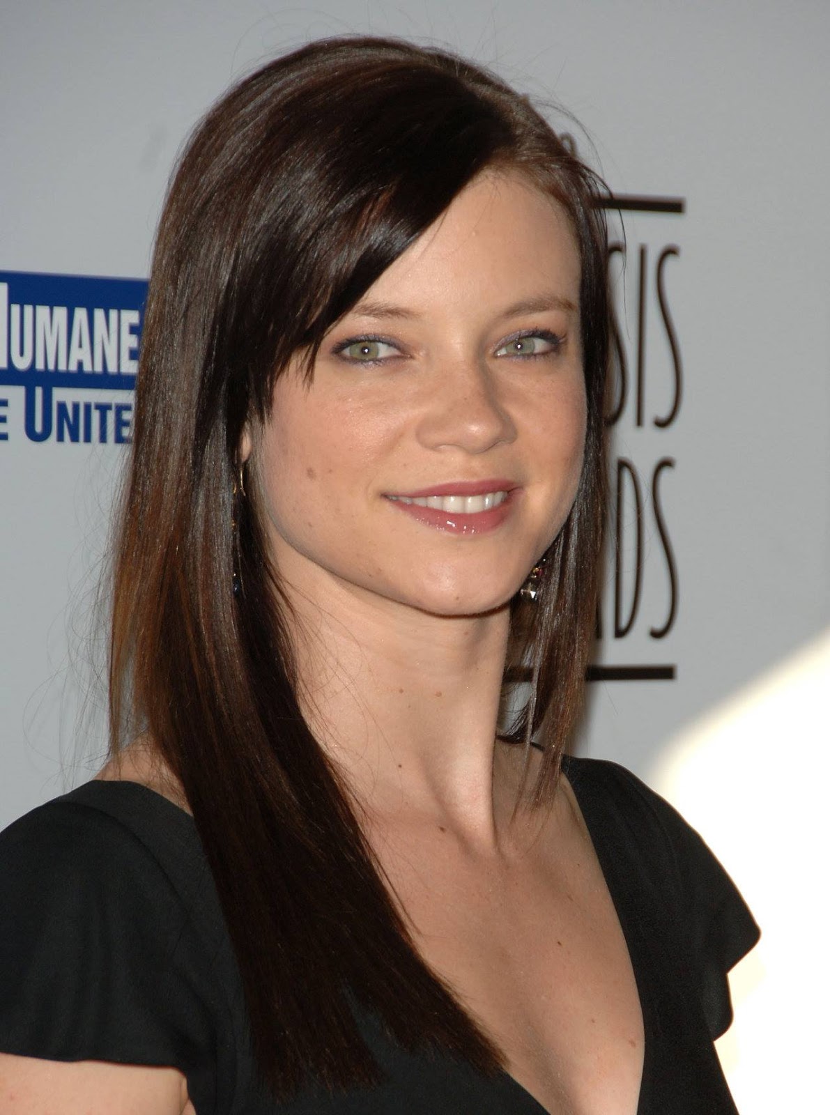 The ABC´s of Beauty: Amy Smart aka Amy Lysle Smart (Galería 1)