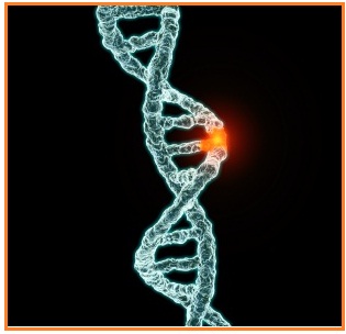 BIOLOGI GONZAGA: MUTASI GEN-CHANGE BASA NITROGEN