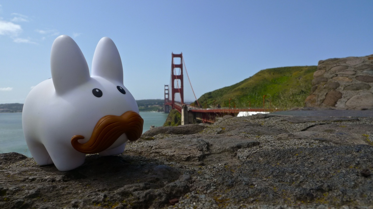 Year of the Labbit: Labbit Travels: Golden Gate Bridge