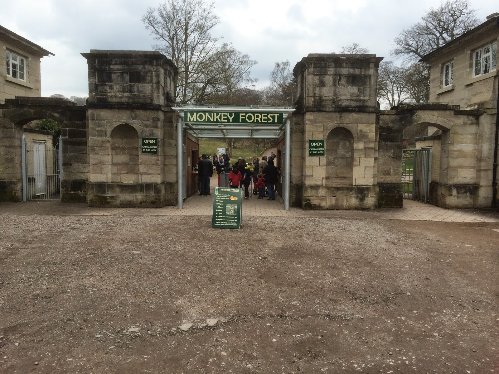 WoodStokeonTrent: The monkey forest