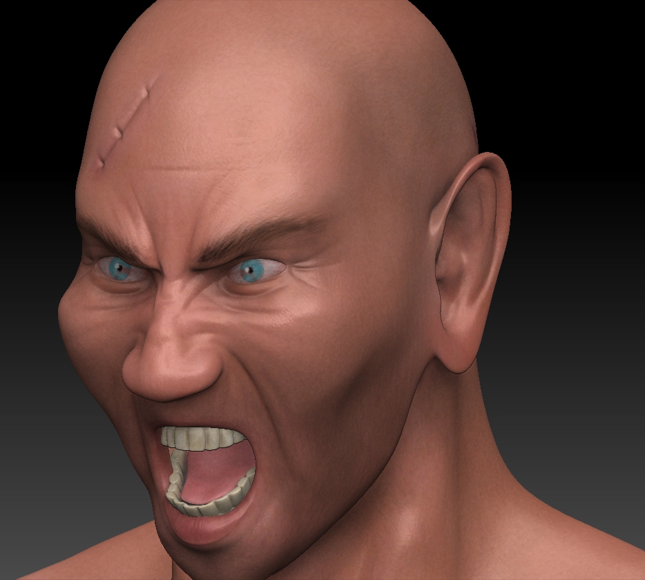 vishakha gupta: My First Zbrush Face Model with Texture