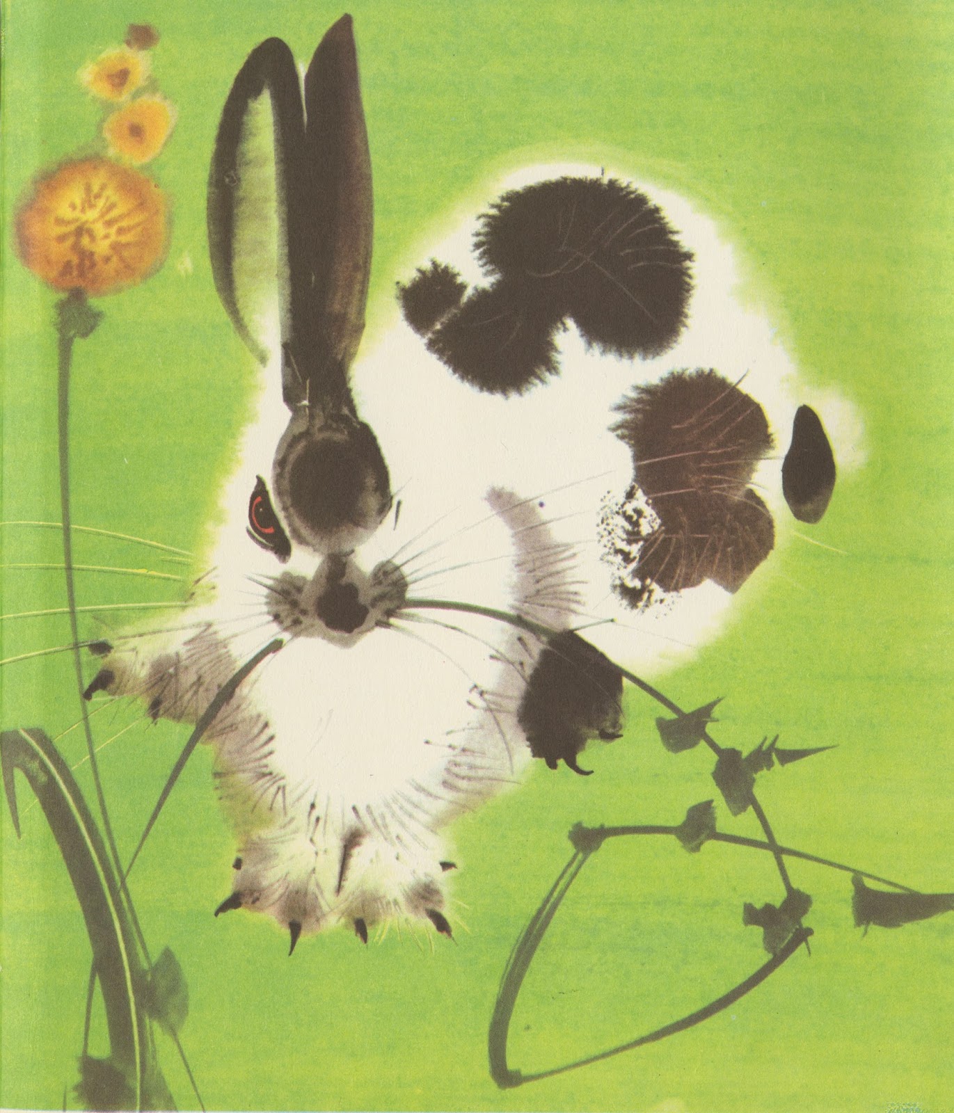 Deja View: Mirko Hanak