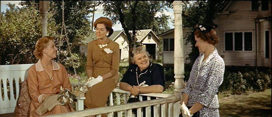 DREAMS ARE WHAT LE CINEMA IS FOR...: PICNIC 1955