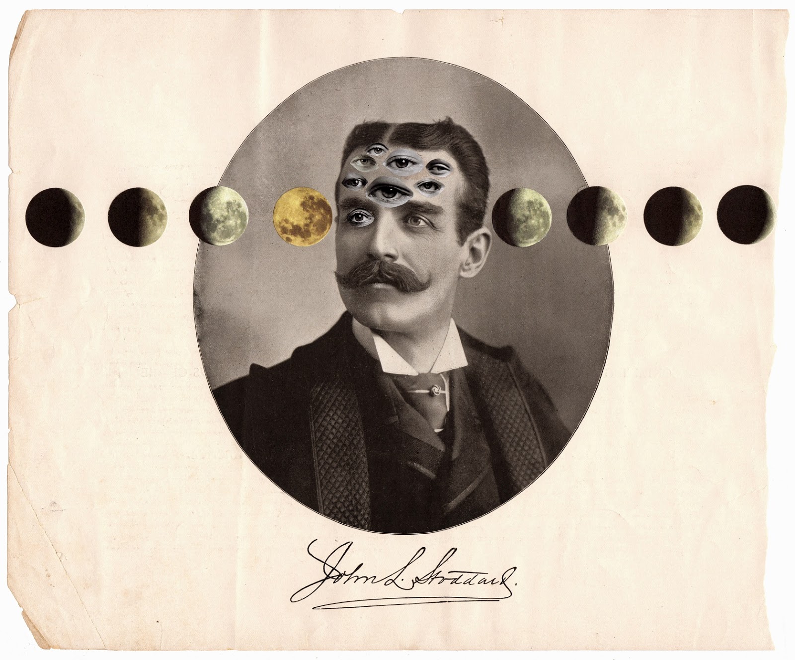 Regular Paper: The Stoddard Series