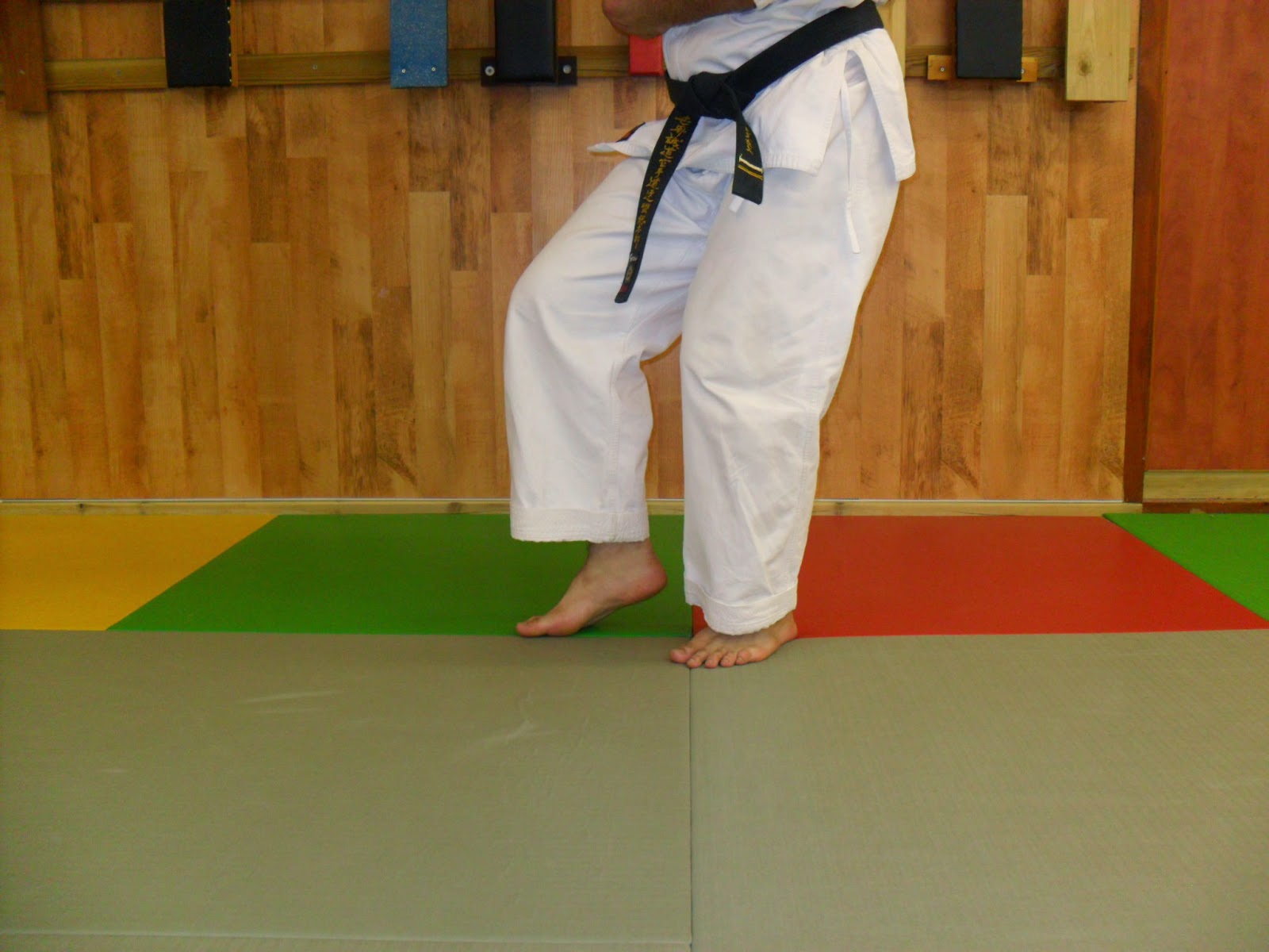 Japanese in Karate: Japanese in Karate 24 “other stances”