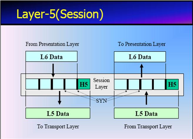 Networking(DCCN): OSI Reference Model
