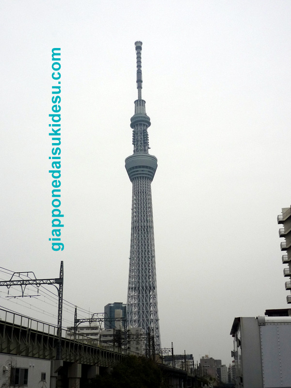 Giappone daisuki!: Tokyo Sky Tree 東京スカイツリ