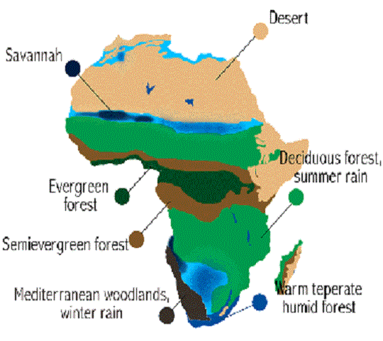 Geography: Lands, Peoples & Cultures: Know about the Continent Africa