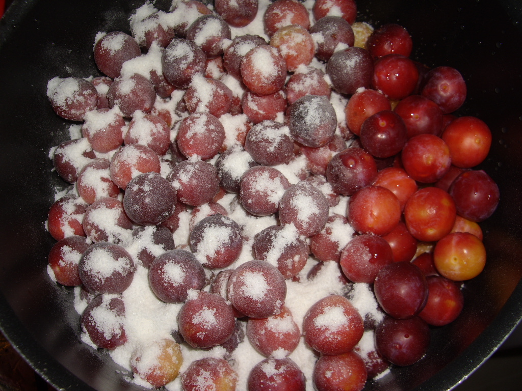 Dorothy Sweet: Gem de corcoduse