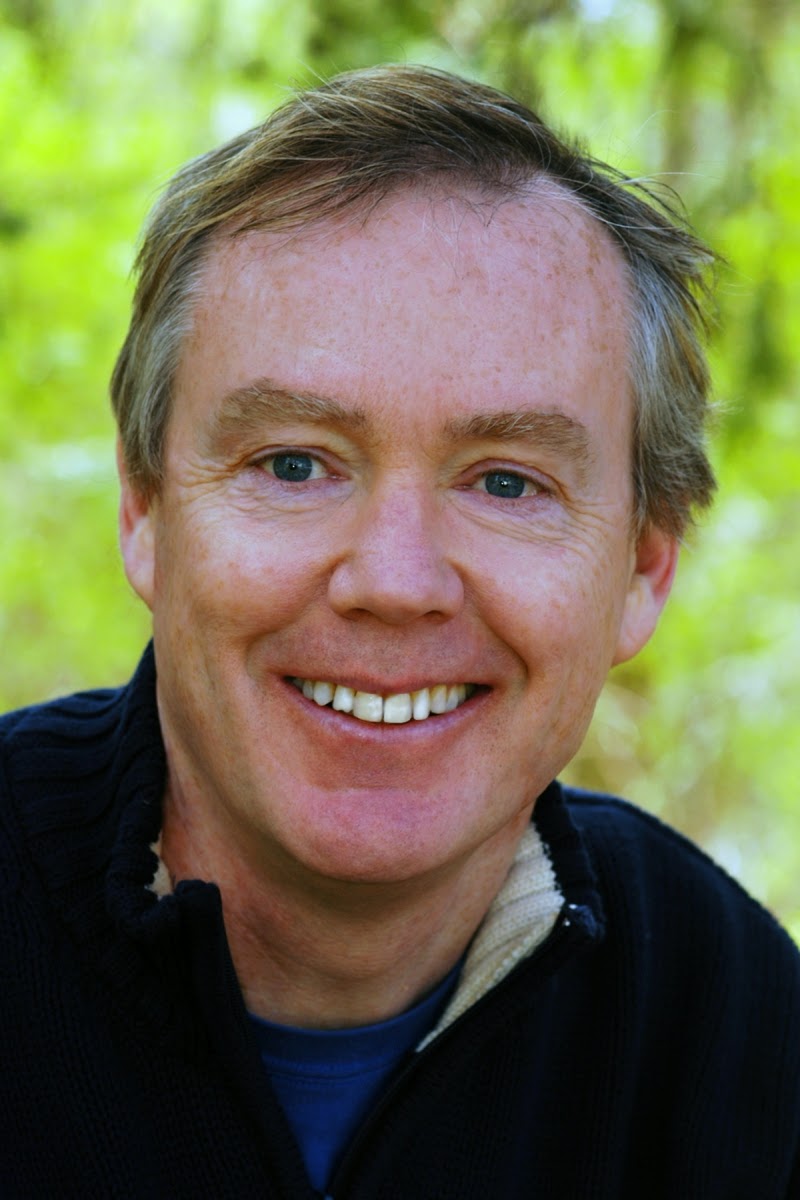 BookNAround: Review: The Curse of Van Gogh by Paul Hoppe