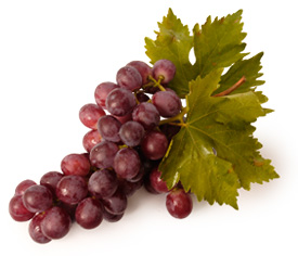 Uva Fresca Red Globe : Exportación de Uvas Red Globe