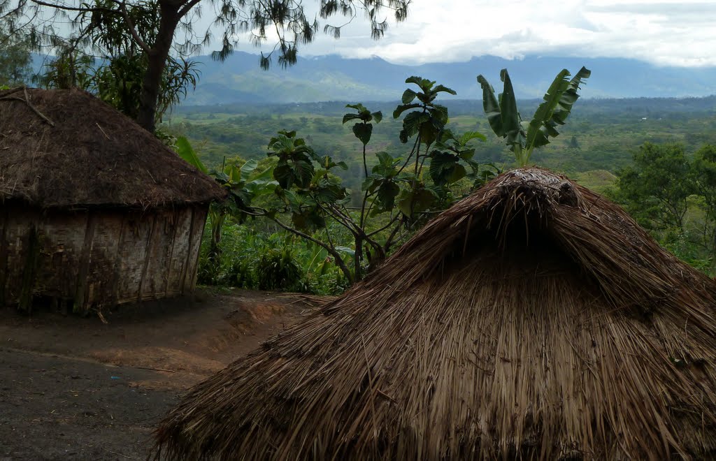 bugs and bananas: 2011 Katagu Games