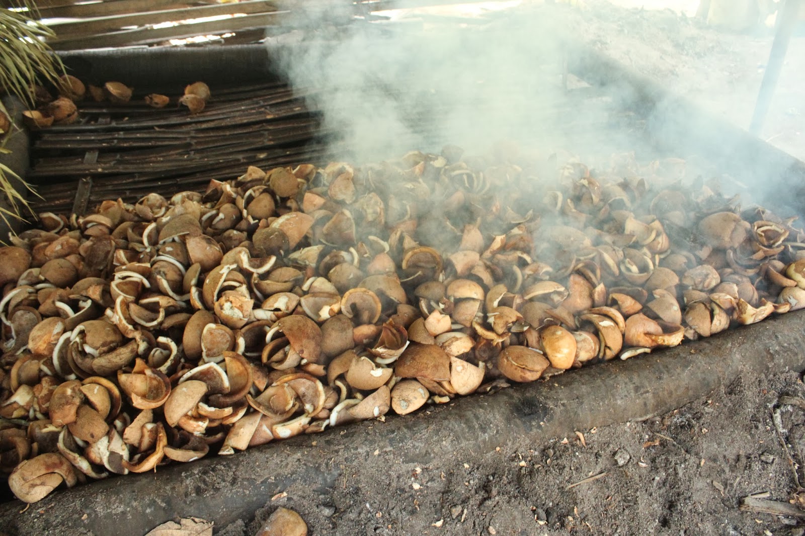 LIVELIHOOD IN BULAN,SORSOGON