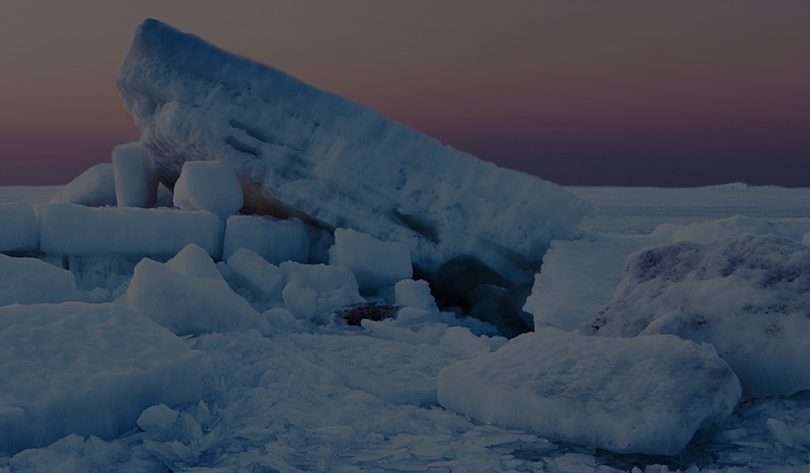 Fluttuazioni nel trend artico