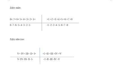 Higienistka Stomatologiczna: Systemy oznaczania zębów