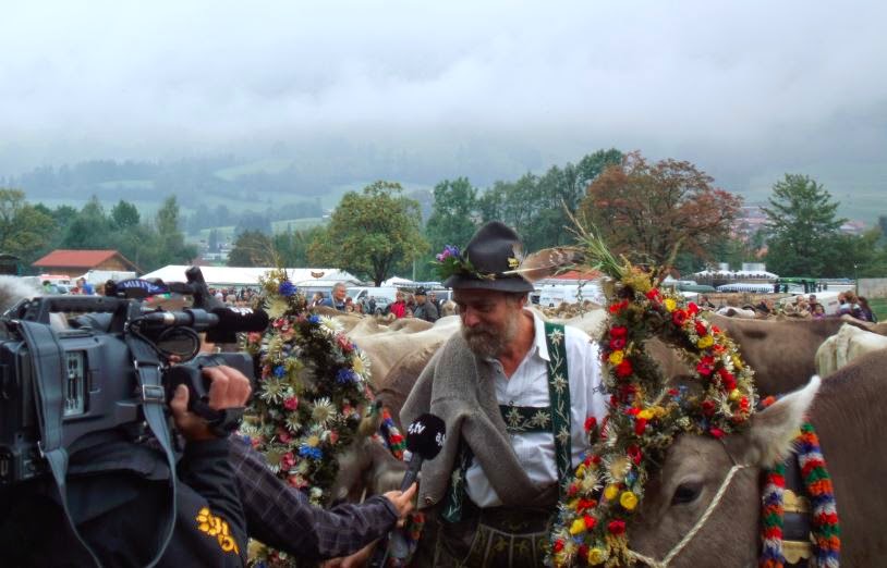 Willkommen in Polschland!: Niemiecka (krowia) piąta pora roku