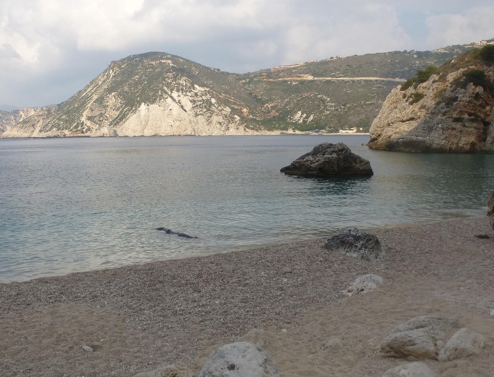 ΔΑΜΟΥΛΙΑΝΑΤΑ: ΜΕΓΑΛΟ ΨΑΡΙ ΣΤΗΝ ΑΓΙΑ ΕΛΕΝΗ