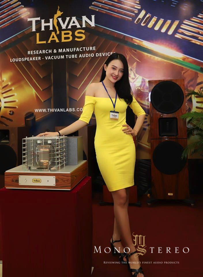 NEW THIVAN LABS 833 TUBE POWER AMPLIFIERS – M & S | Ultimate High-Fidelity