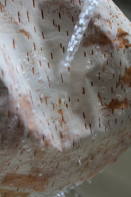 Sylvie Liv: How To Turn Birch Bark Into Paper