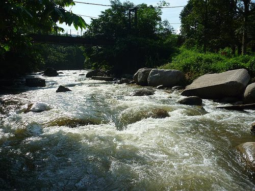The True Colors: Water Rafting @ Adeline's Villa Gopeng