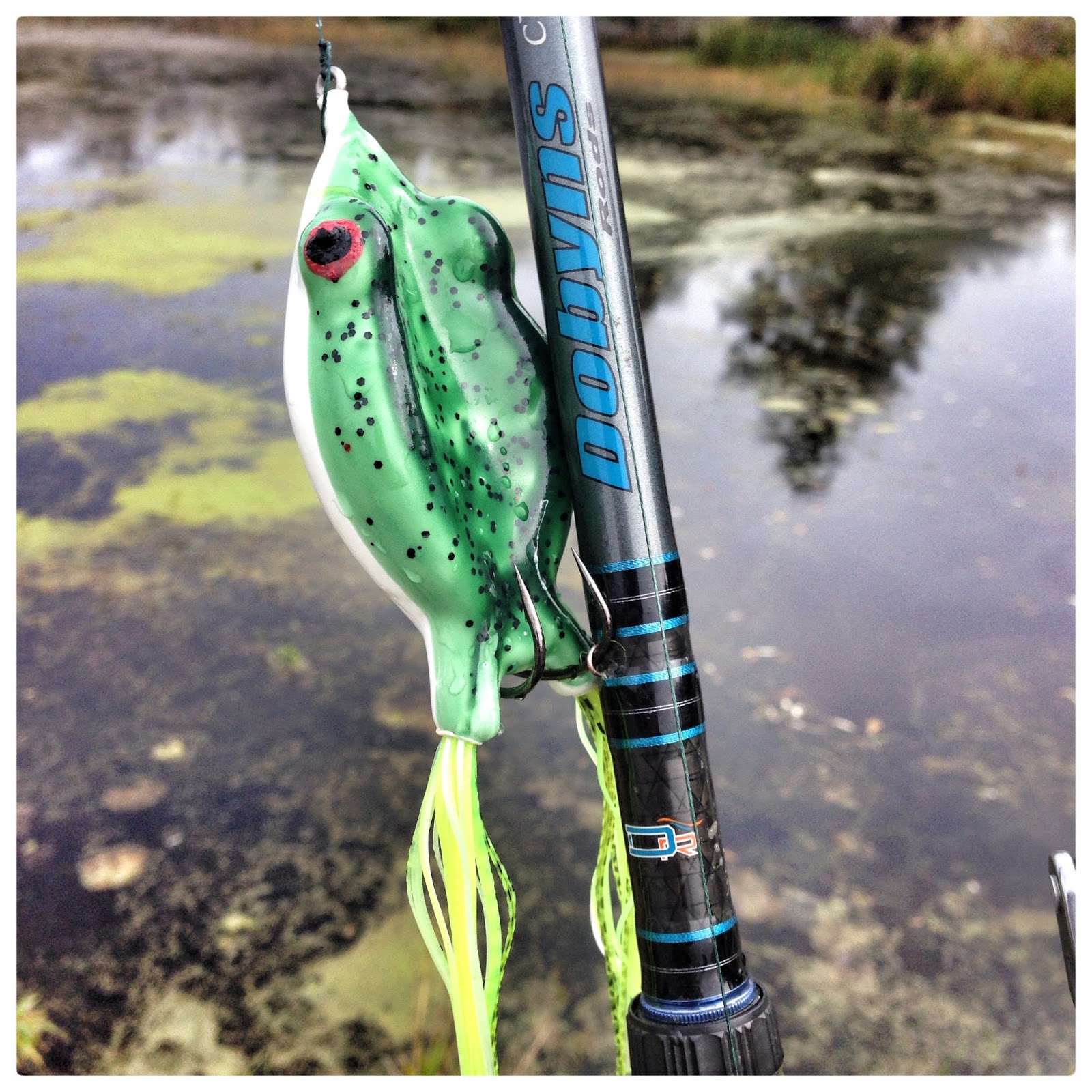 Bass Junkies Frog Pond: Mann's Goliath Frog Review