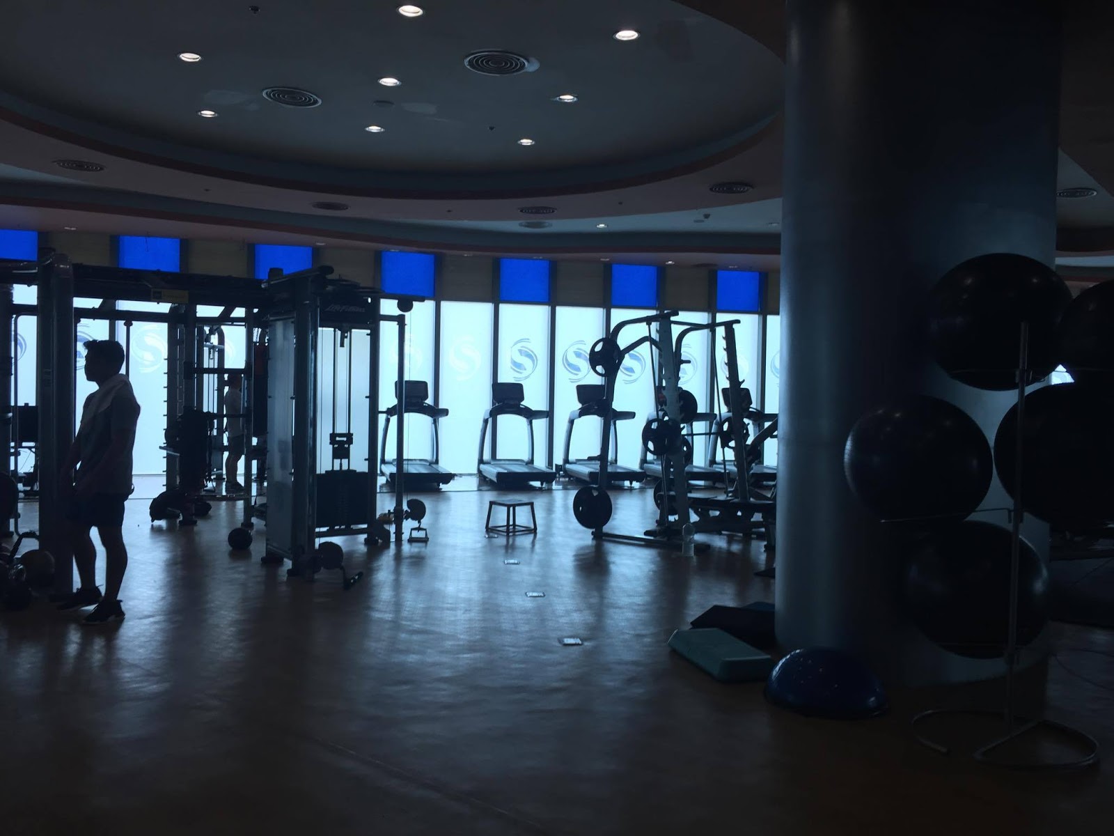 LiViNG on the FLipSiDe: One Massive Gym, Fit for a Champ