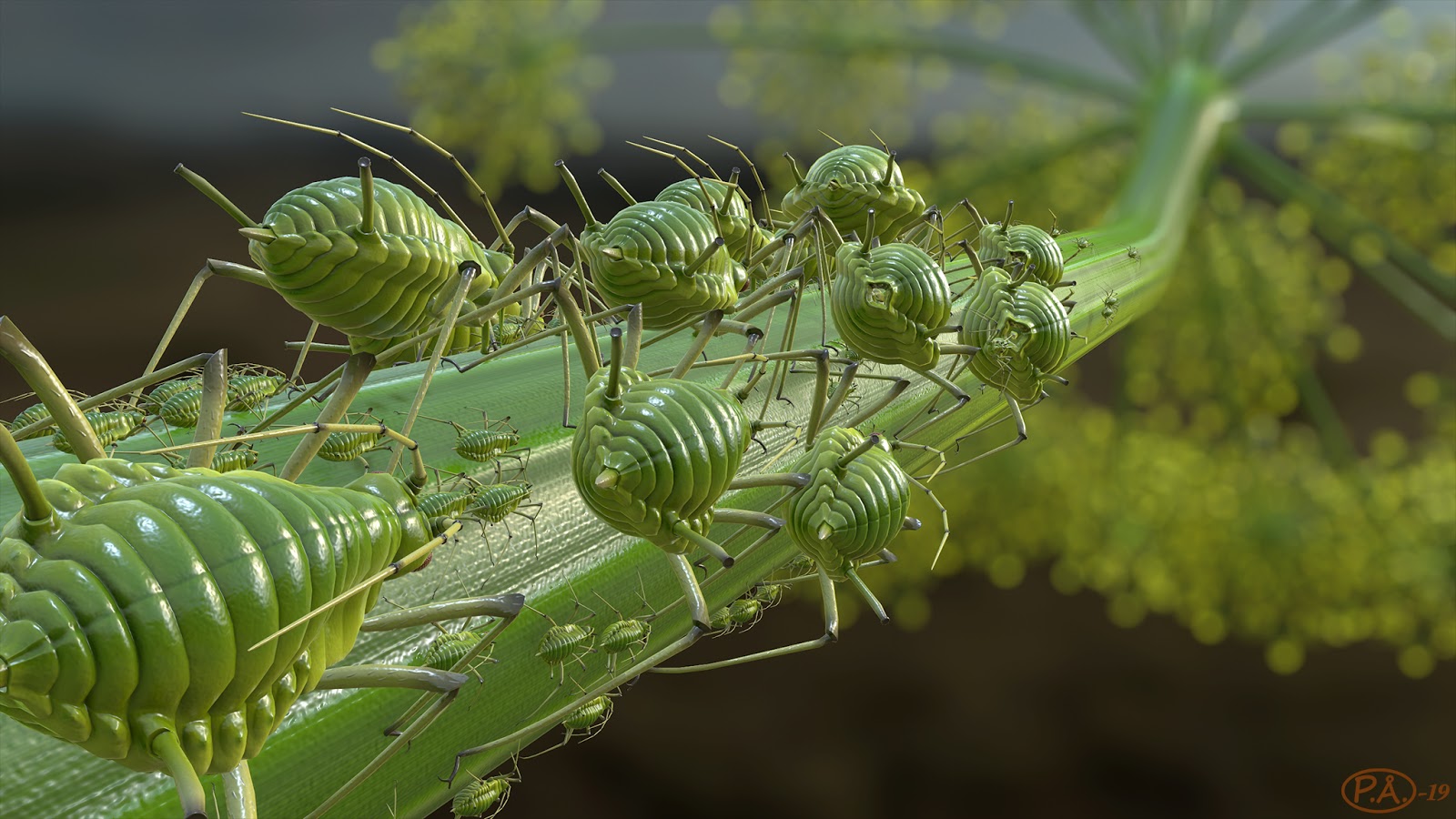 Portfolio: Greenbug (bladlus)