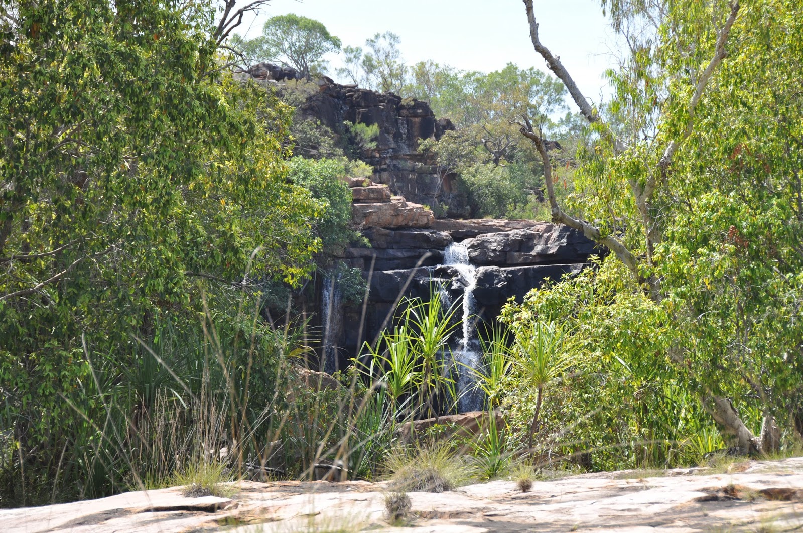 BarbaraTVan: BARBARA'S KIMBERLEY ADVENTURE - THE GIBB RIVER ROAD TO ...