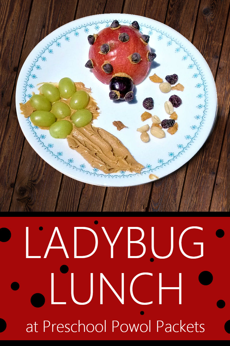 Preschool Ladybug Lunch | Preschool Powol Packets