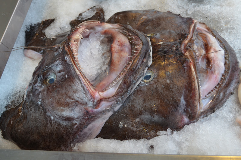 Bergenauts: Last Hurrah