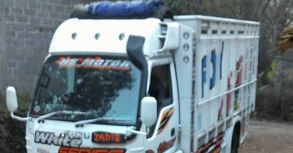 17+ Truk Elf Putih, Ide Top!