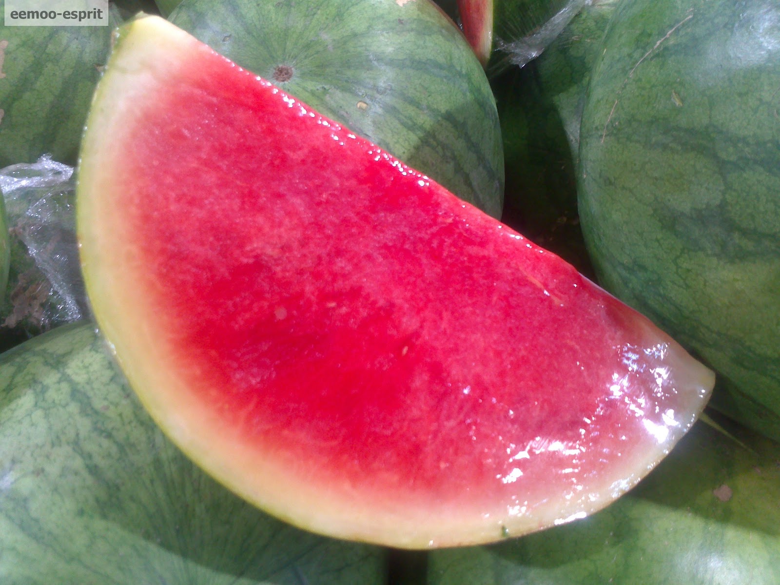 Ikhtisar kandungan gizi Semangka - watermelon